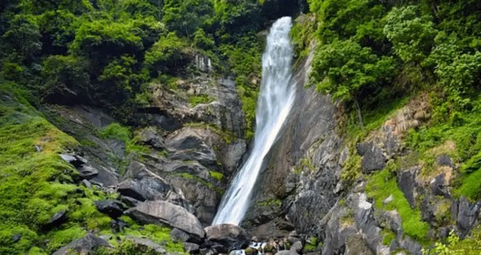 Explore the Best National Parks in Sikkim – A Nature Lover’s Paradise