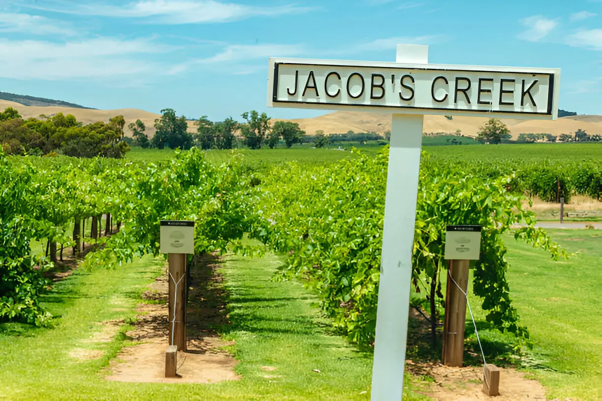Day vs Weekend – Choosing the Right Barossa Wine Tour